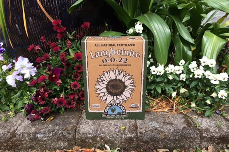The Benefits of Using Langbeinite Fertilizer - Haute Life Hub