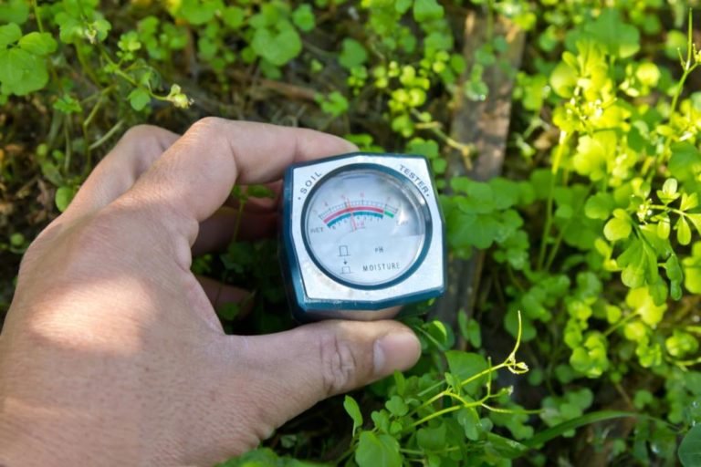 Soil Moisture Content Testing Methods Haute Life Hub Soil Moisture Content Testing Methods Haute Life Hub