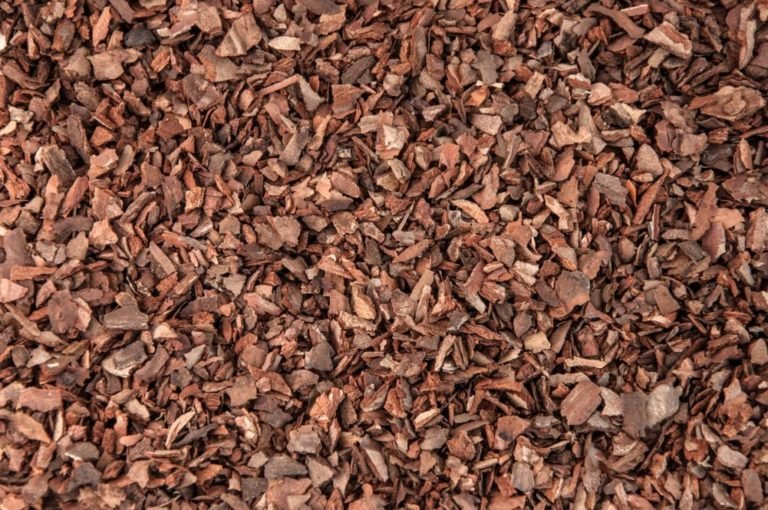Tips for Using Pine Fine Barks Soil Conditioner - Haute Life Hub