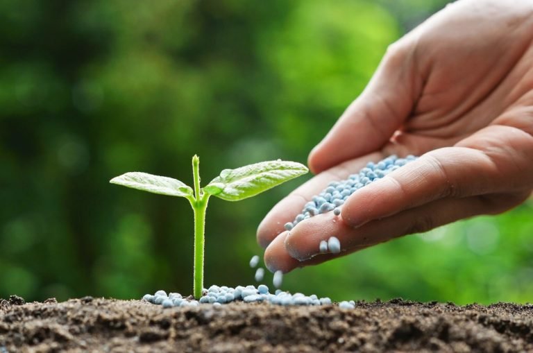 When to Use A Slow Release Fertilizer - Haute Life Hub