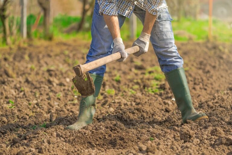 Effects of Soil Tilling in the Garden - Haute Life Hub