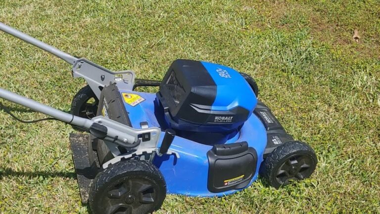 10 Best Push Battery Lawn Mowers - Haute Life Hub