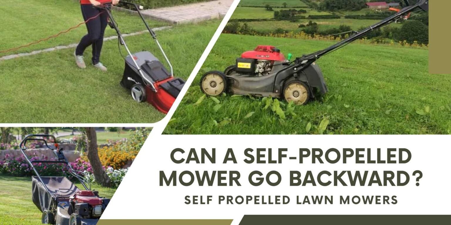 Can A Self-Propelled Mower Go Backward? - Haute Life Hub