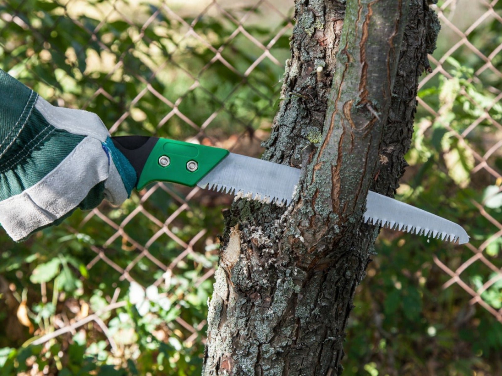 Essential Gardening Tools : 11 Best Tools For Your Garden