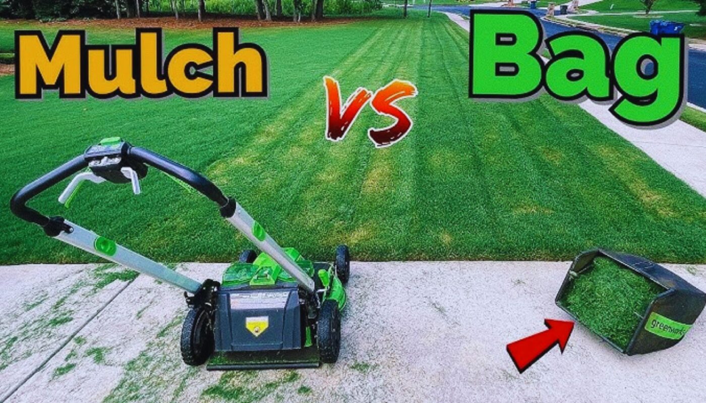 mulching vs. bagging
