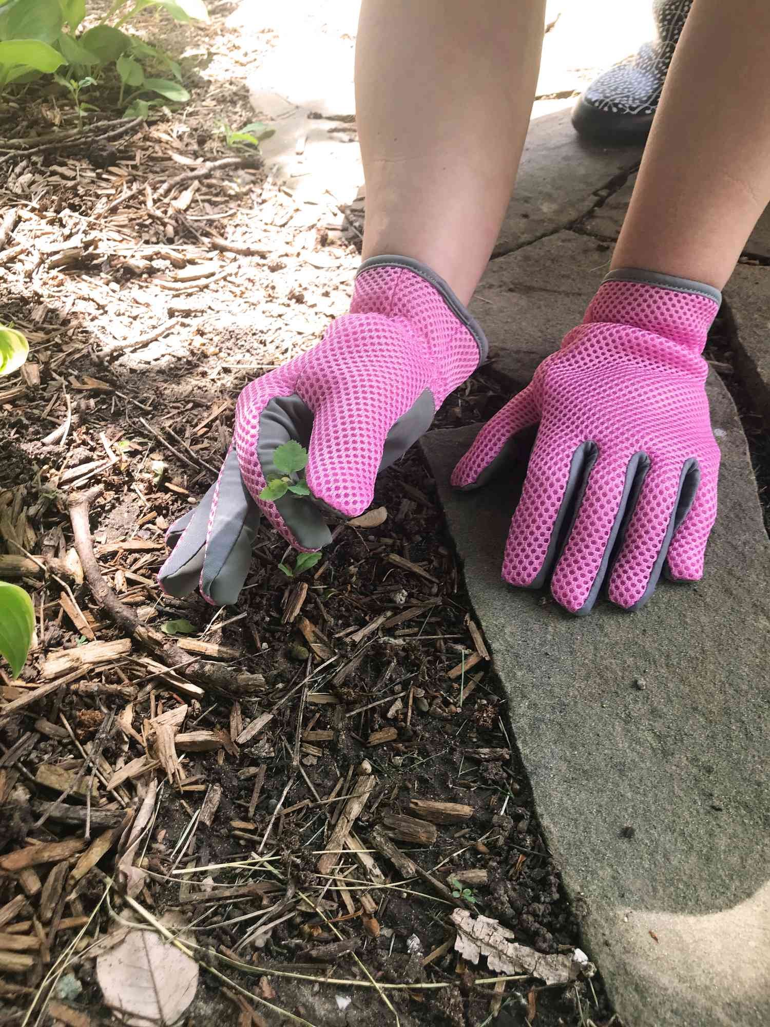 Essential Gardening Tools : 11 Best Tools For Your Garden