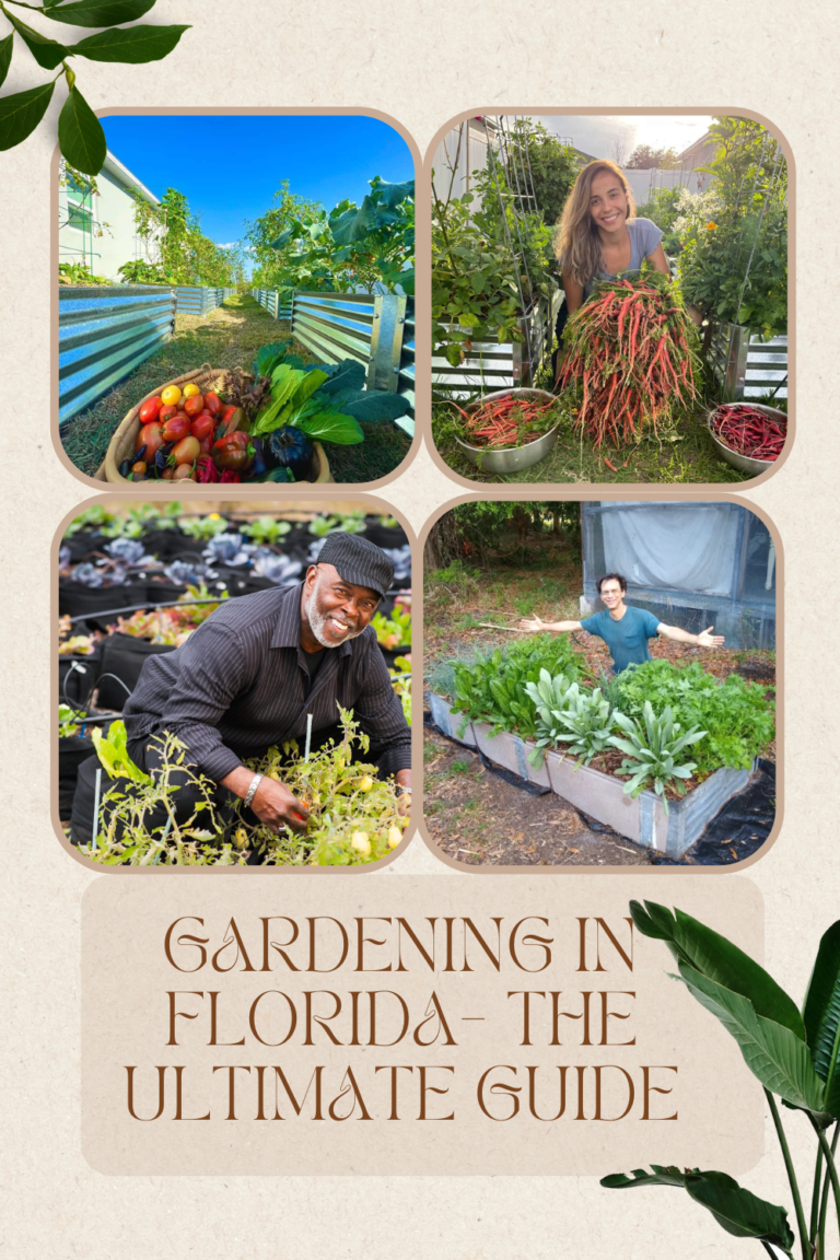 Gardening in Florida - Ultimate Guide- Haute Life Hub