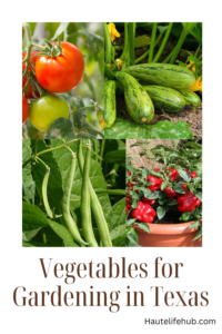 Gardening in Texas: Your Ultimate Guide