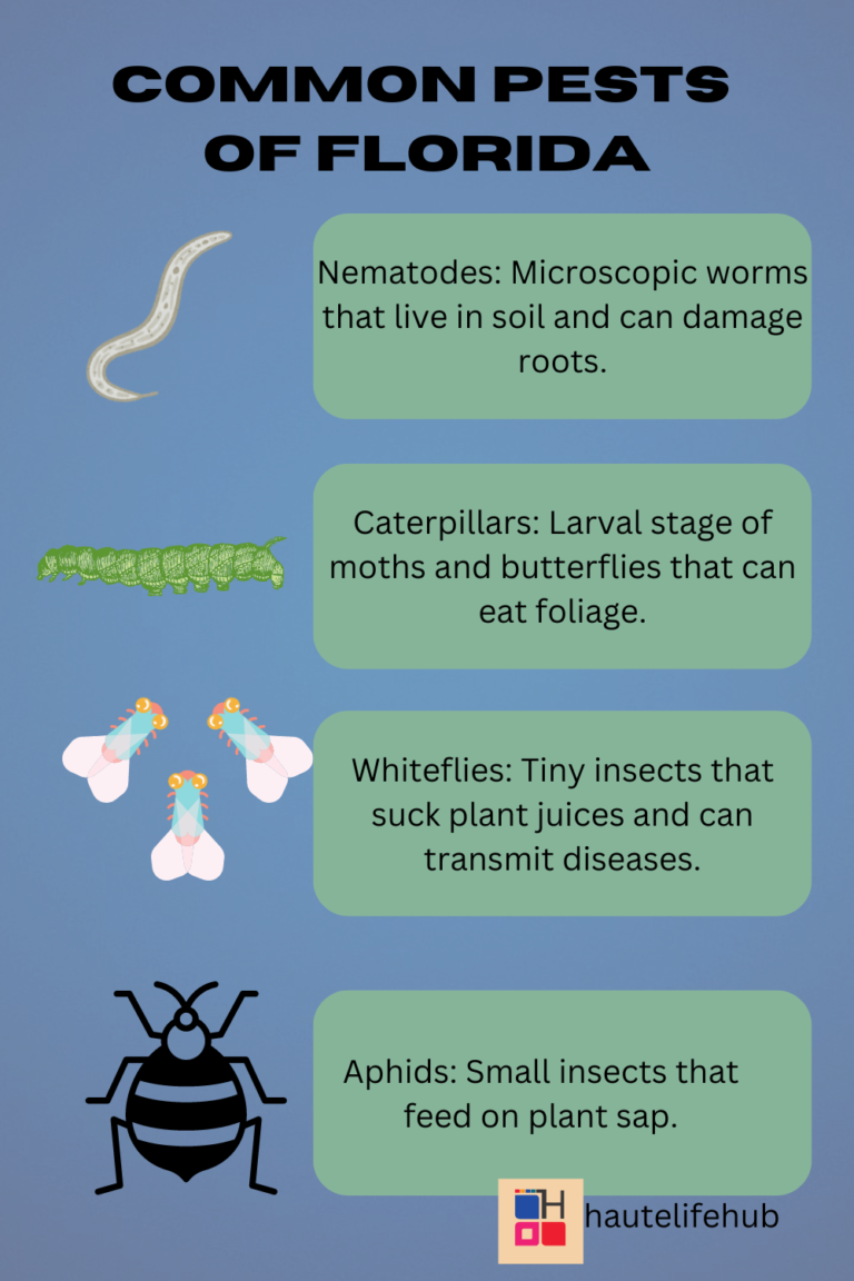 Gardening in Florida - Ultimate Guide- Haute Life Hub