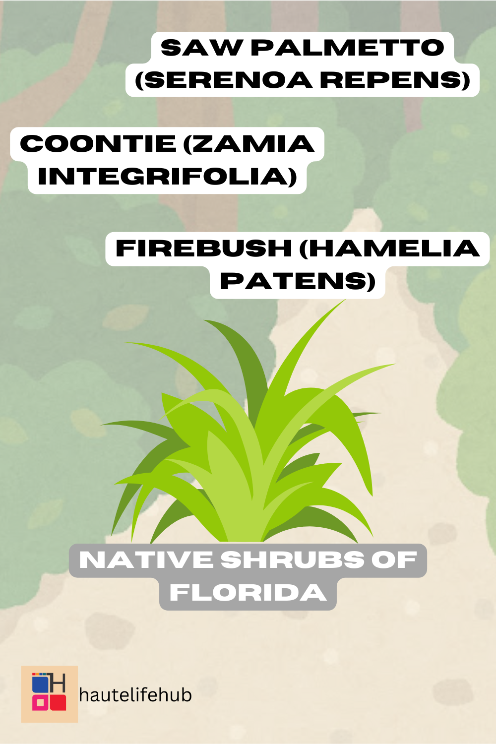 Gardening in Florida - Ultimate Guide- Haute Life Hub