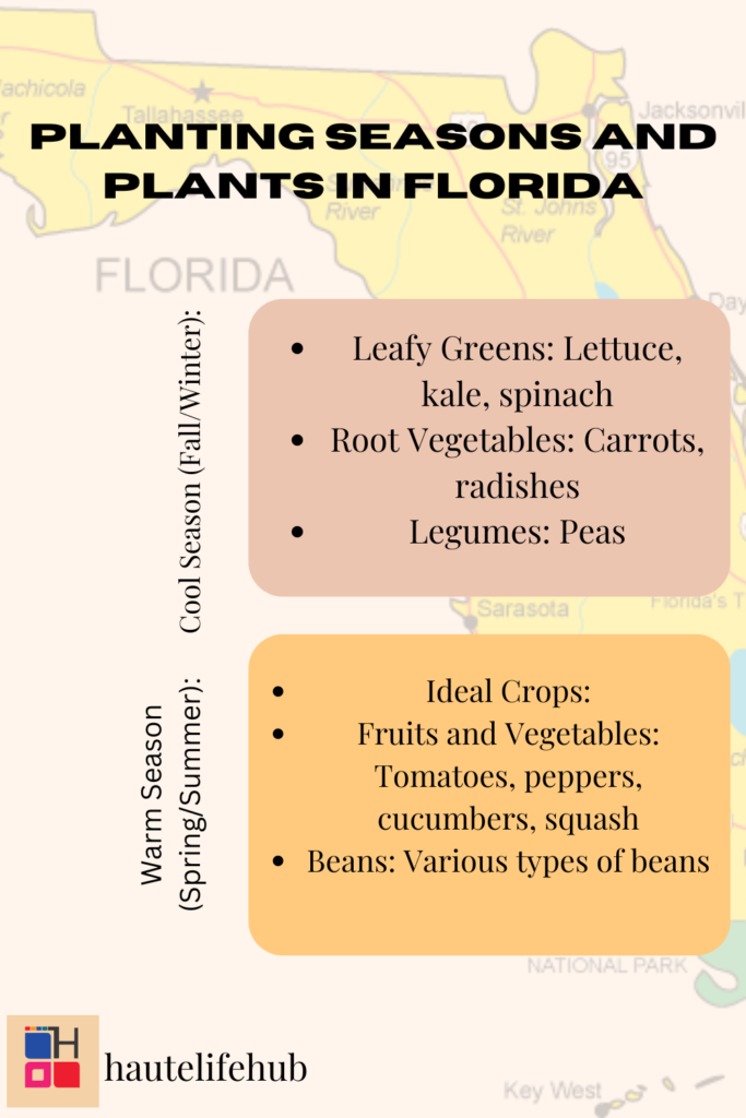 Gardening in Florida - Ultimate Guide- Haute Life Hub