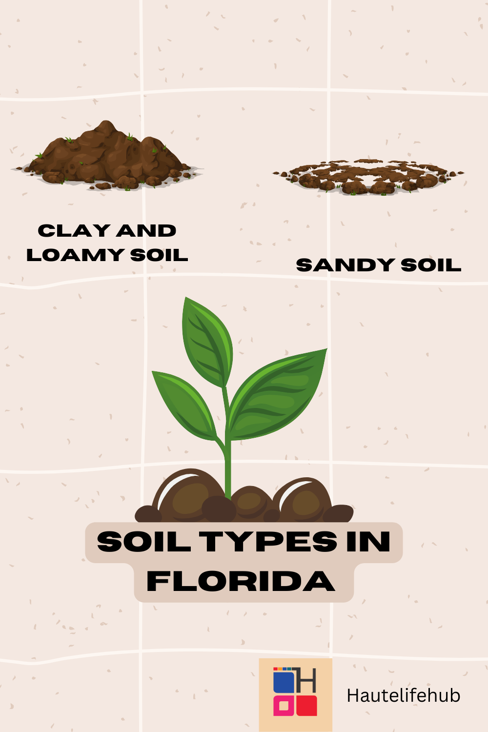 Gardening in Florida - Ultimate Guide- Haute Life Hub