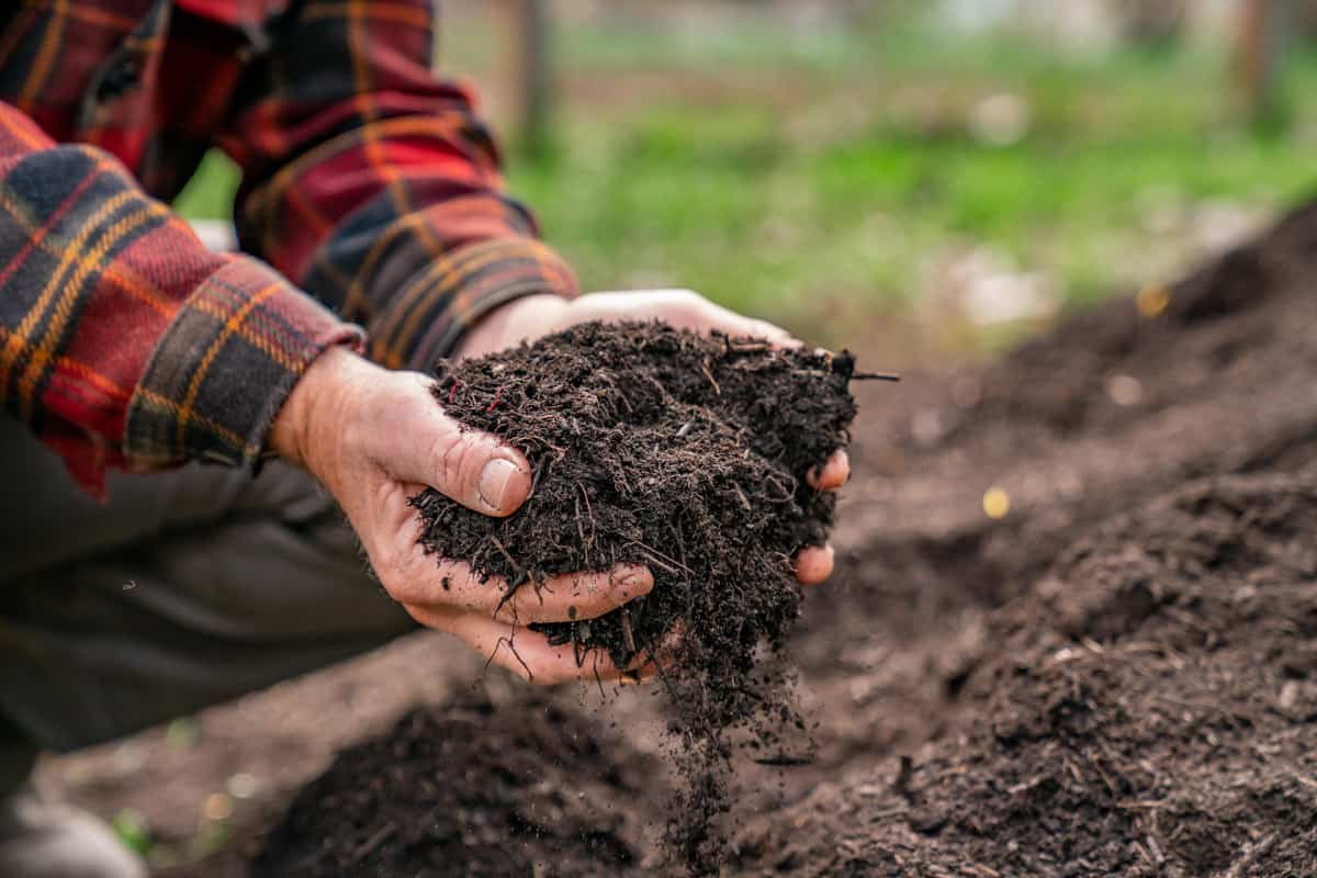 Composting at Home: Benefits and how to start - Haute Life Hub