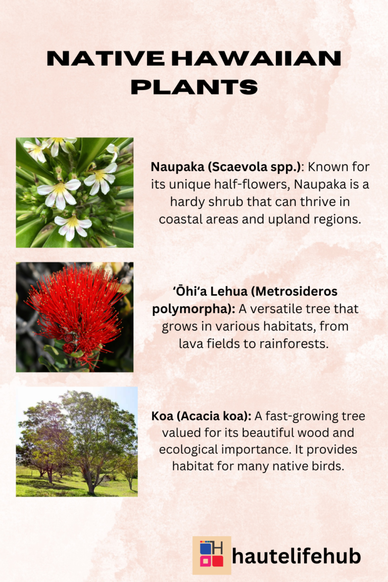 Gardening in Hawaii - Your Ultimate Guide- Haute Life Hub