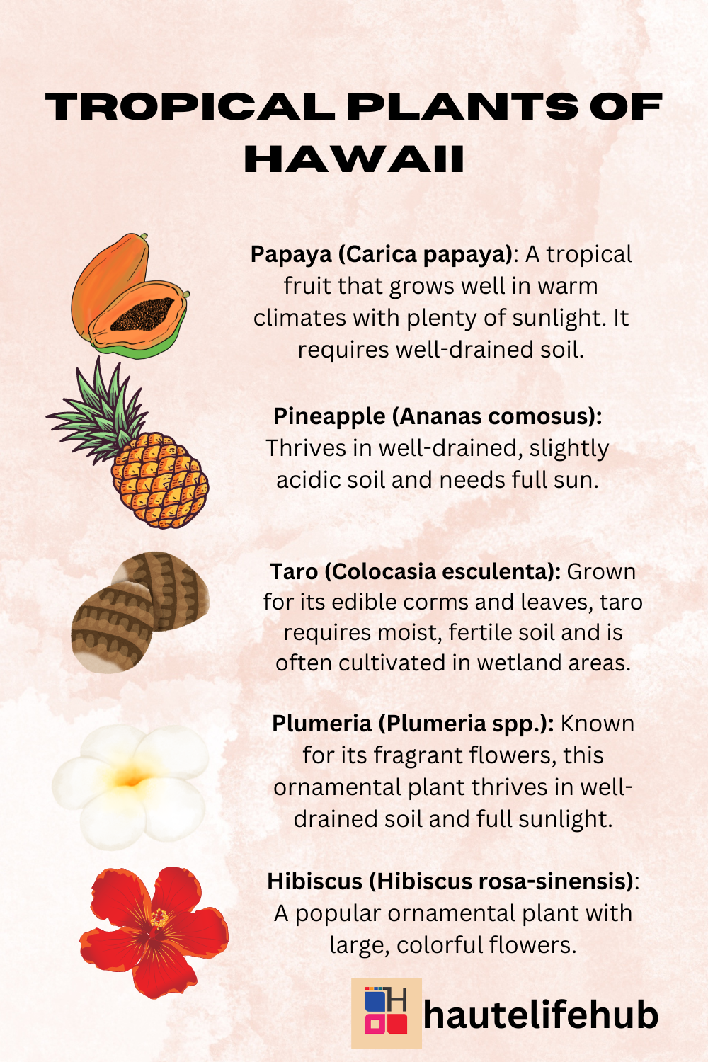 Gardening in Hawaii - Your Ultimate Guide- Haute Life Hub