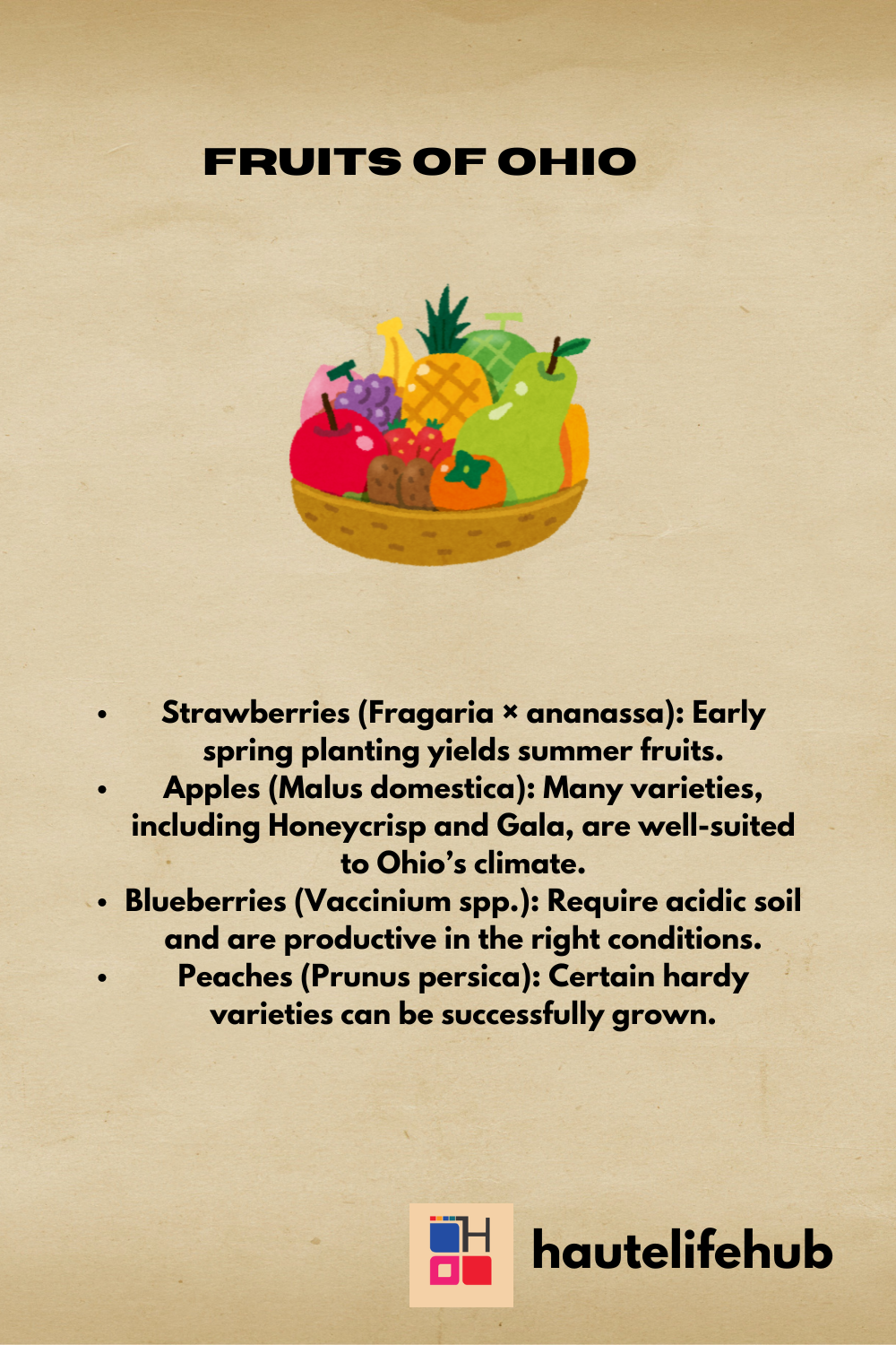 Gardening in Ohio- Your Ultimate Guide - Haute Life Hub