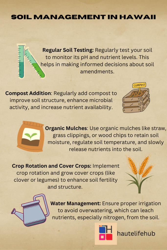 Gardening in Hawaii - Your Ultimate Guide- Haute Life Hub