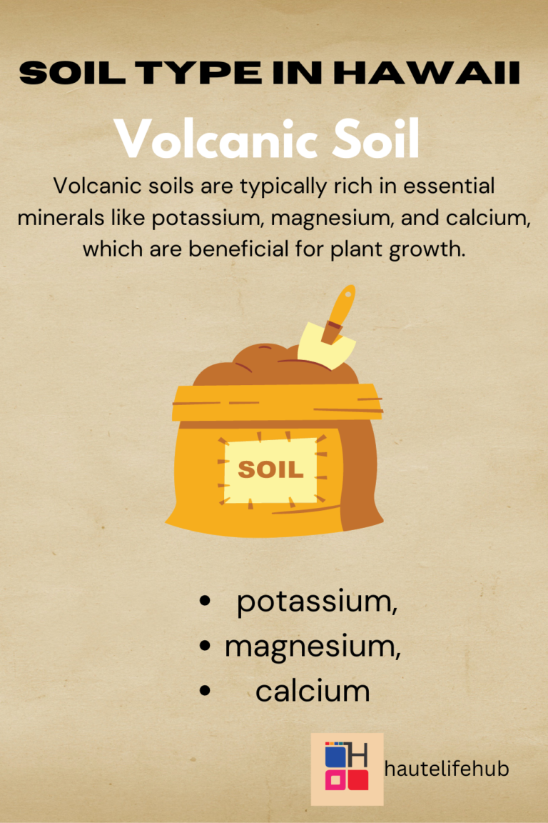 Gardening in Hawaii - Your Ultimate Guide- Haute Life Hub