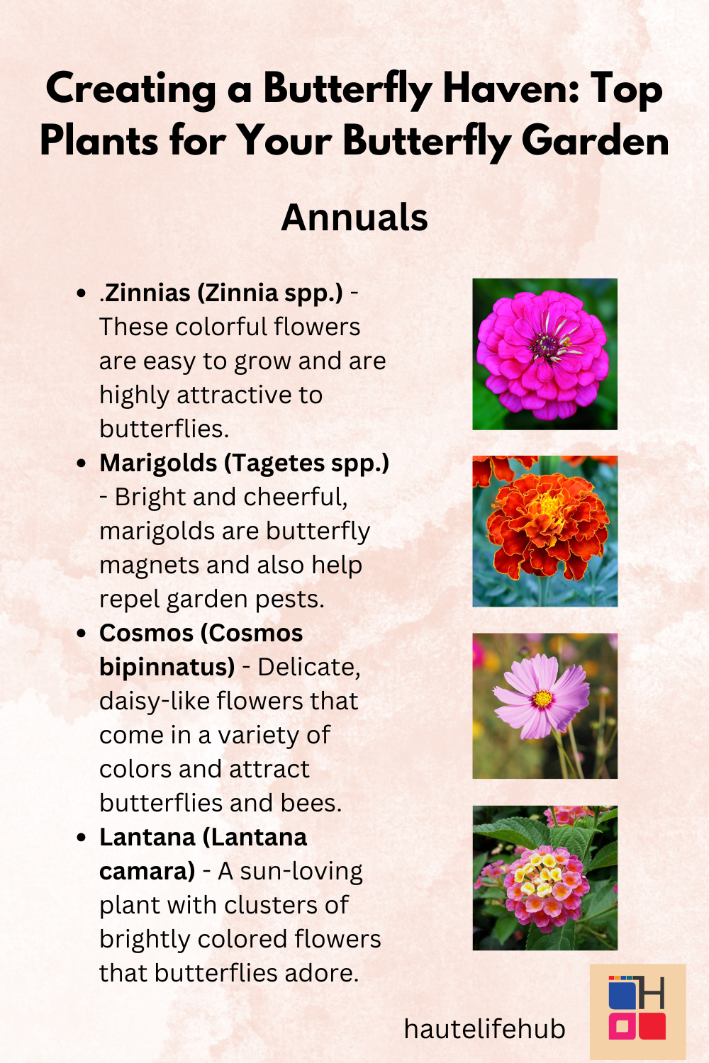 Butterfly Garden Guide - Haute Life Hub