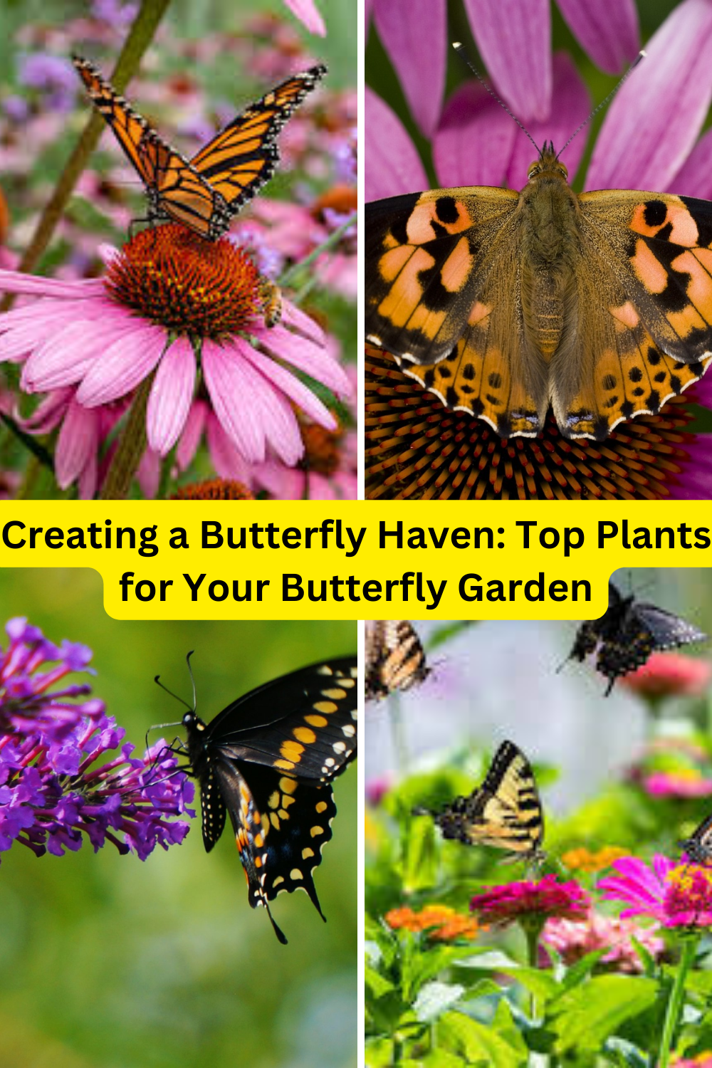 Butterfly Garden Guide - Haute Life Hub