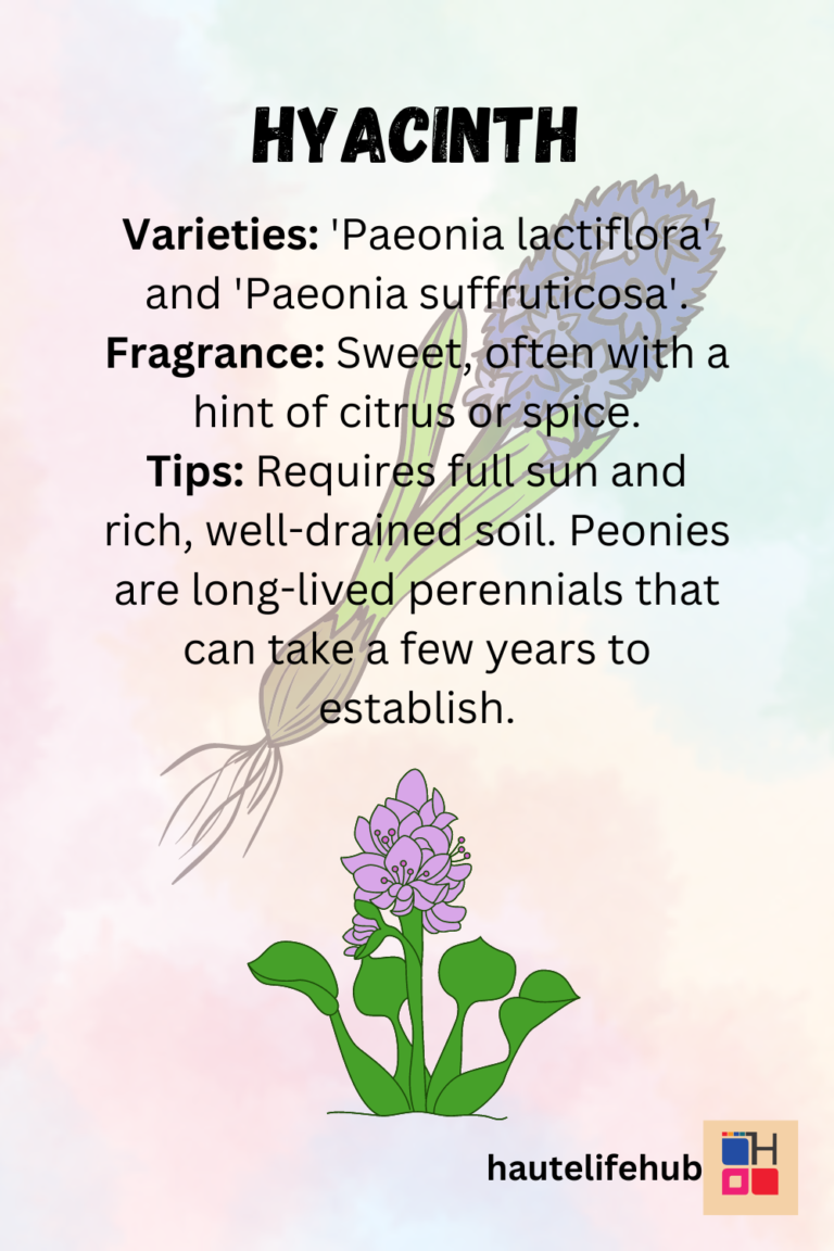 Fragrant Flowers for Your Garden - Haute Life Hub