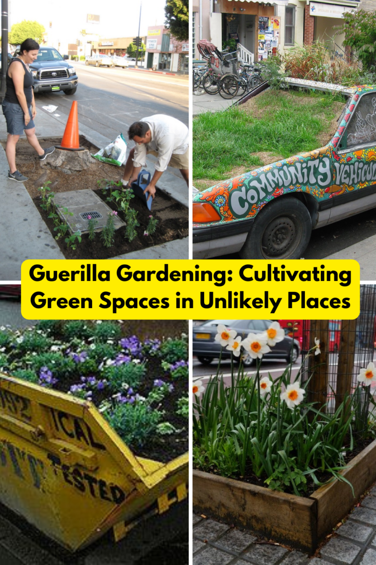 Guerilla gardening Guide - Haute Life Hub