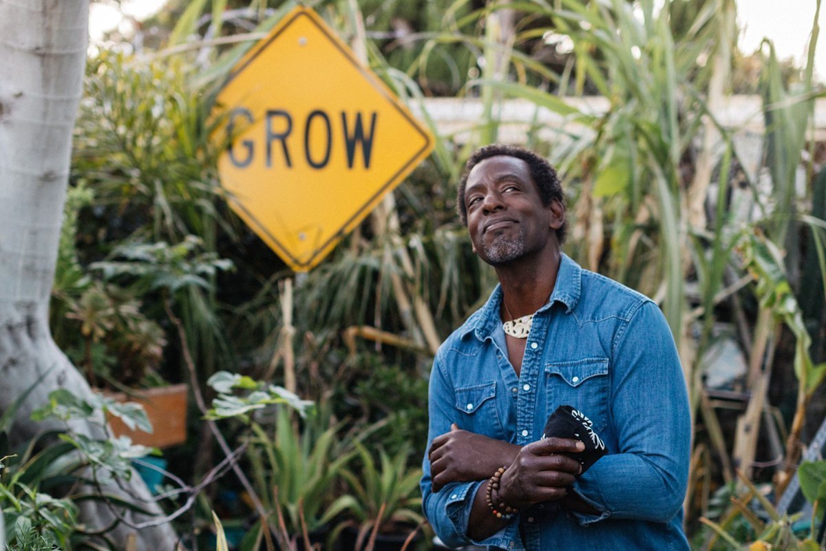 Guerilla gardening Guide - Haute Life Hub
