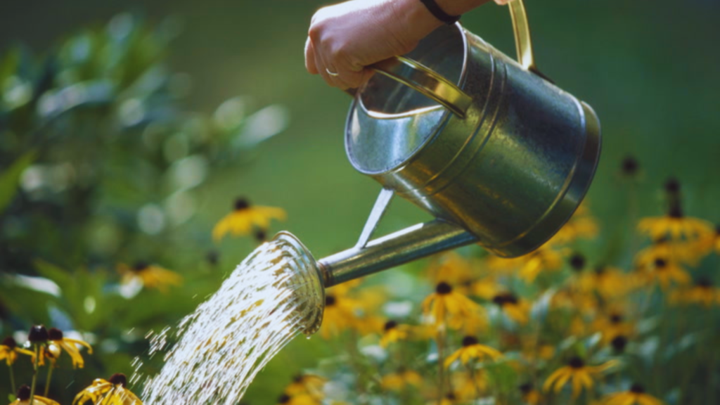 Watering Techniques for a Thriving Garden - Haute Life Hub