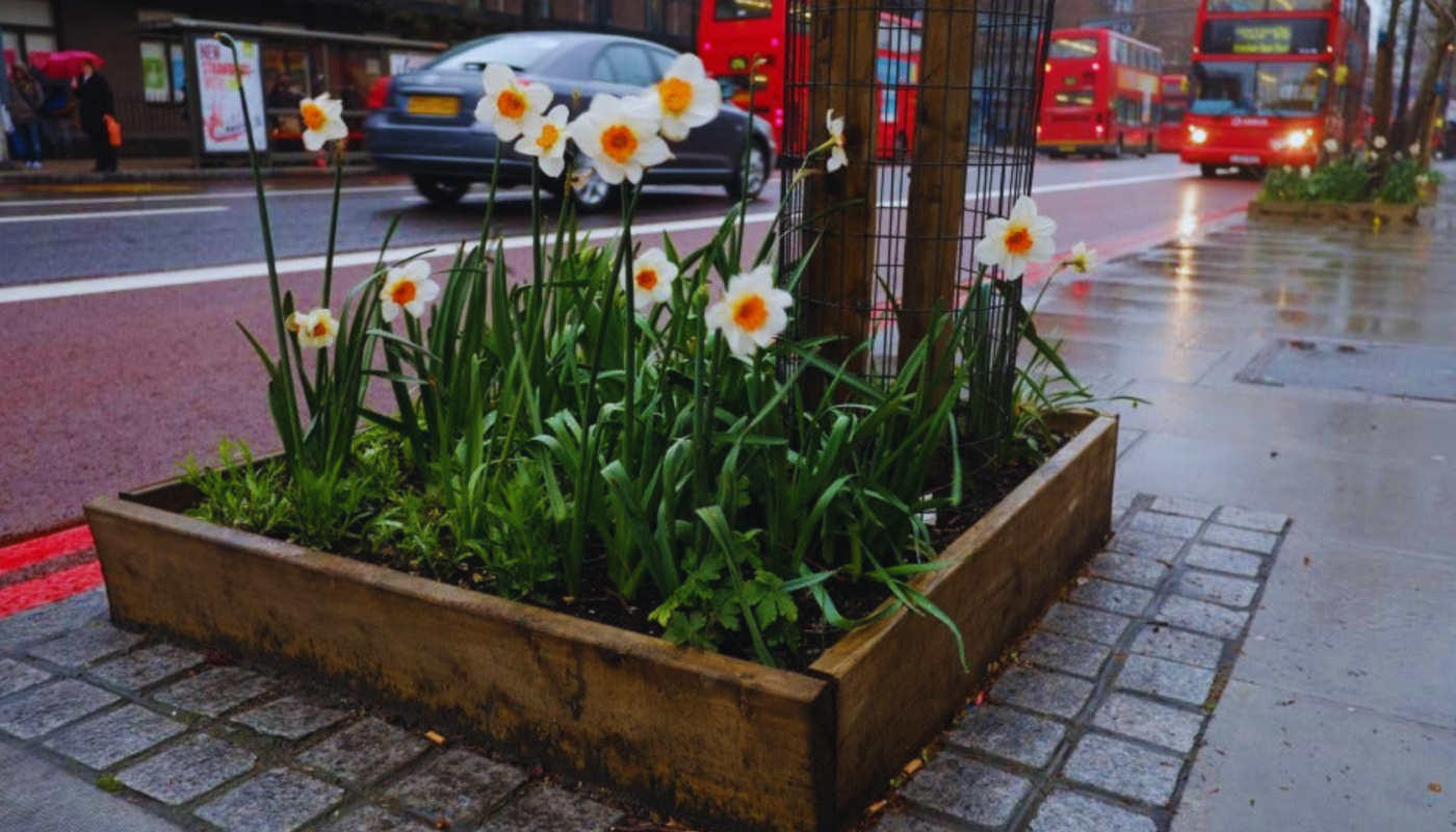 Guerilla gardening Guide - Haute Life Hub