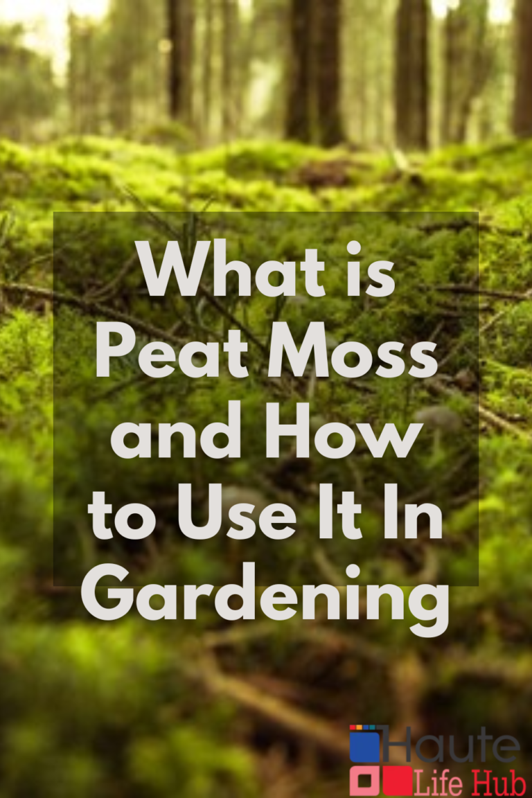 Peat moss -What is it and How to Use It In Gardening - Haute Life Hub
